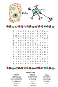 NTScience - Science Worksheet Resources - Enjoy Science!